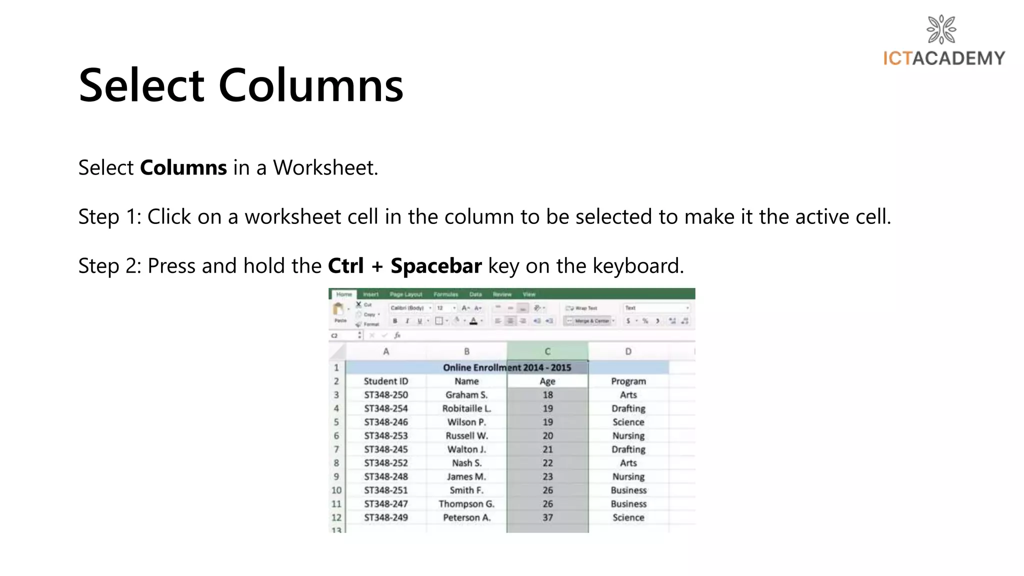 Using Spreadsheets.pptx