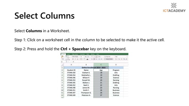 Using Spreadsheets.pptx