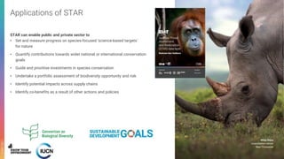 Using STAR, the global Species Threat Abatement and Restoration metric ...