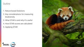 Using STAR, the global Species Threat Abatement and Restoration metric ...