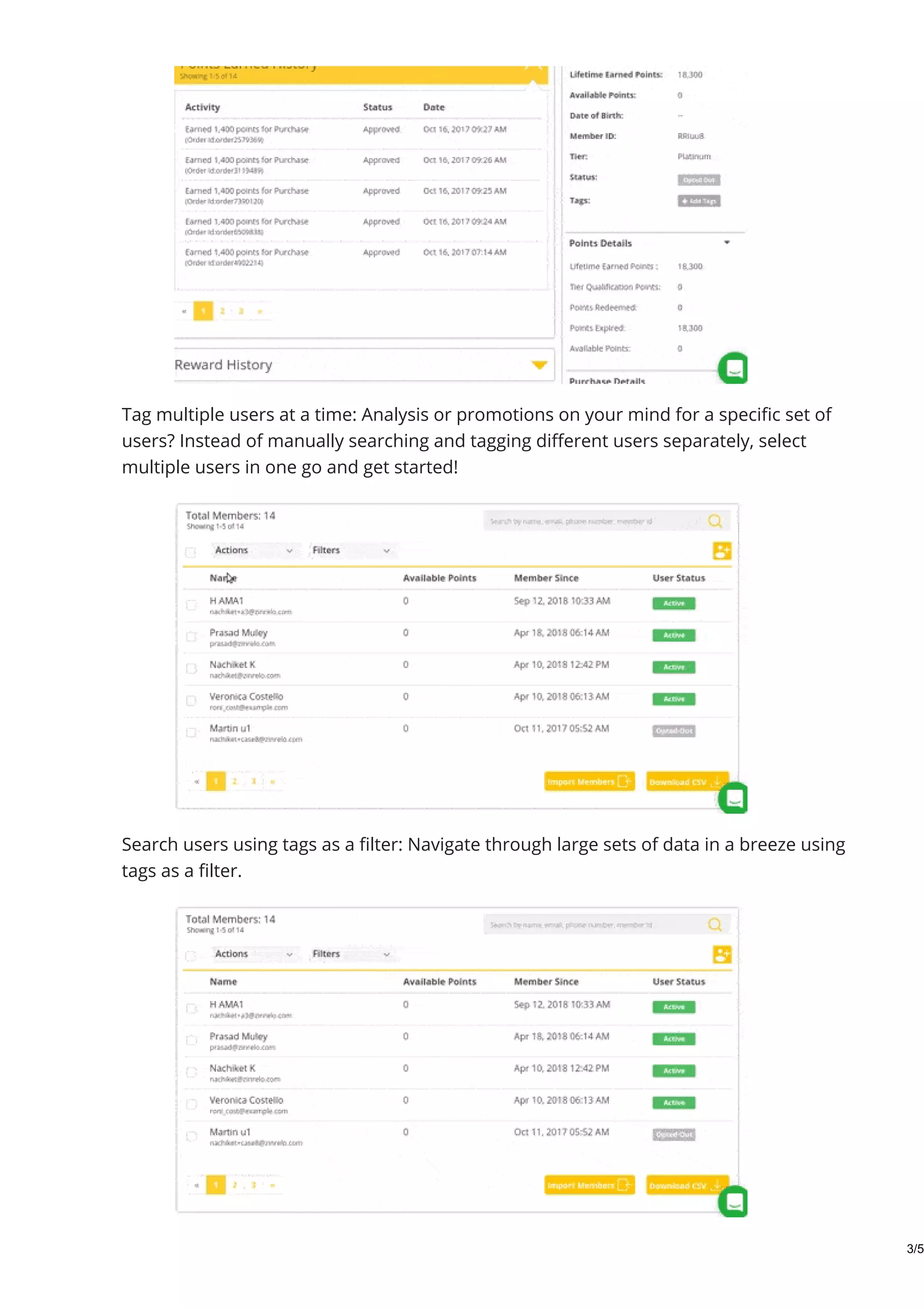 Using tagging to segment customers in a loyalty program zinrelo.com