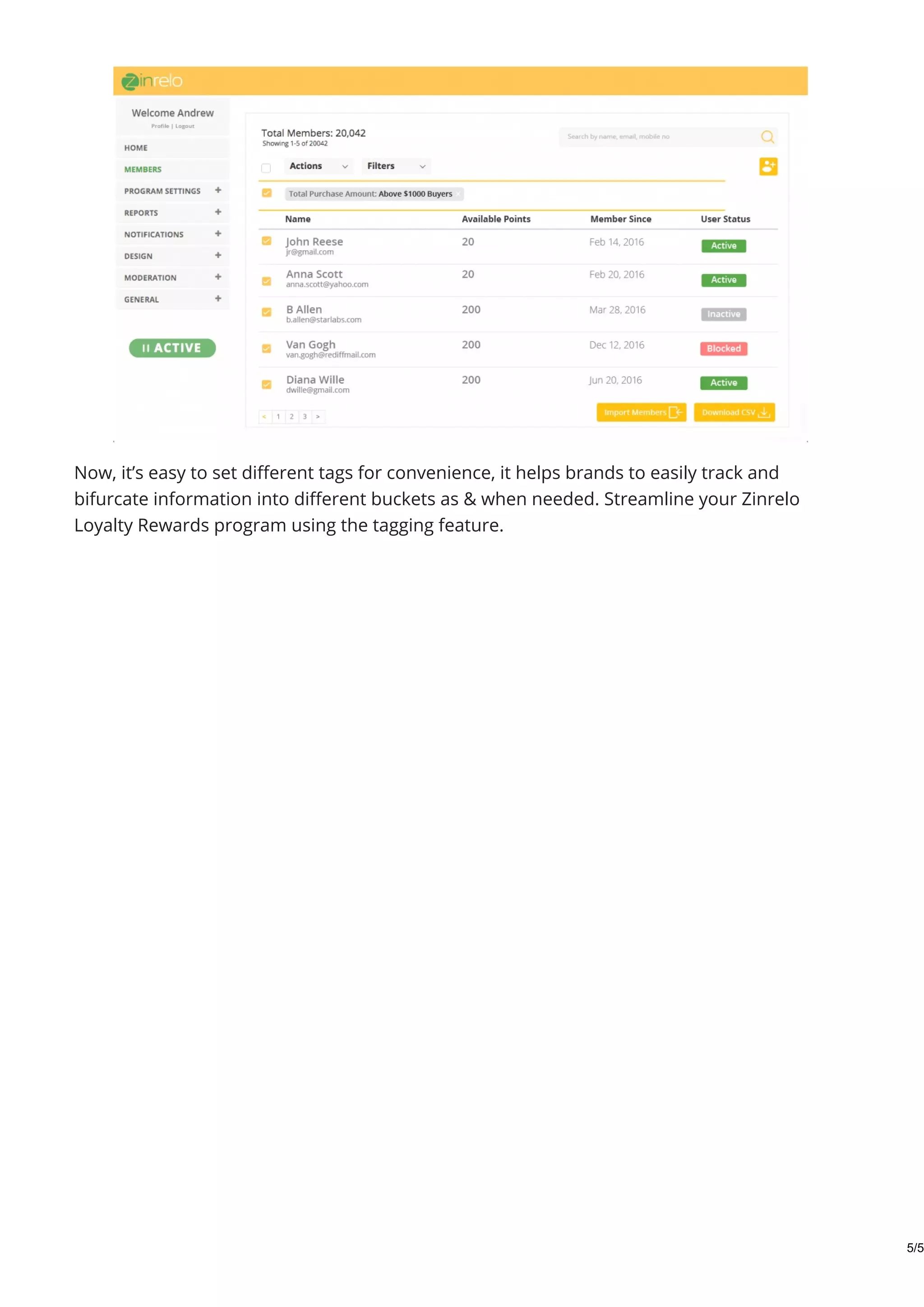 Using tagging to segment customers in a loyalty program zinrelo.com