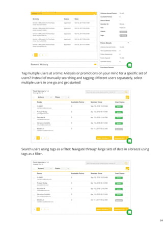 Using tagging to segment customers in a loyalty program zinrelo.com
