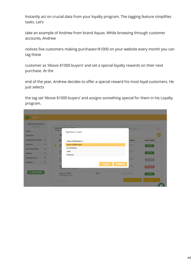 Using tagging to segment customers in a loyalty program zinrelo.com