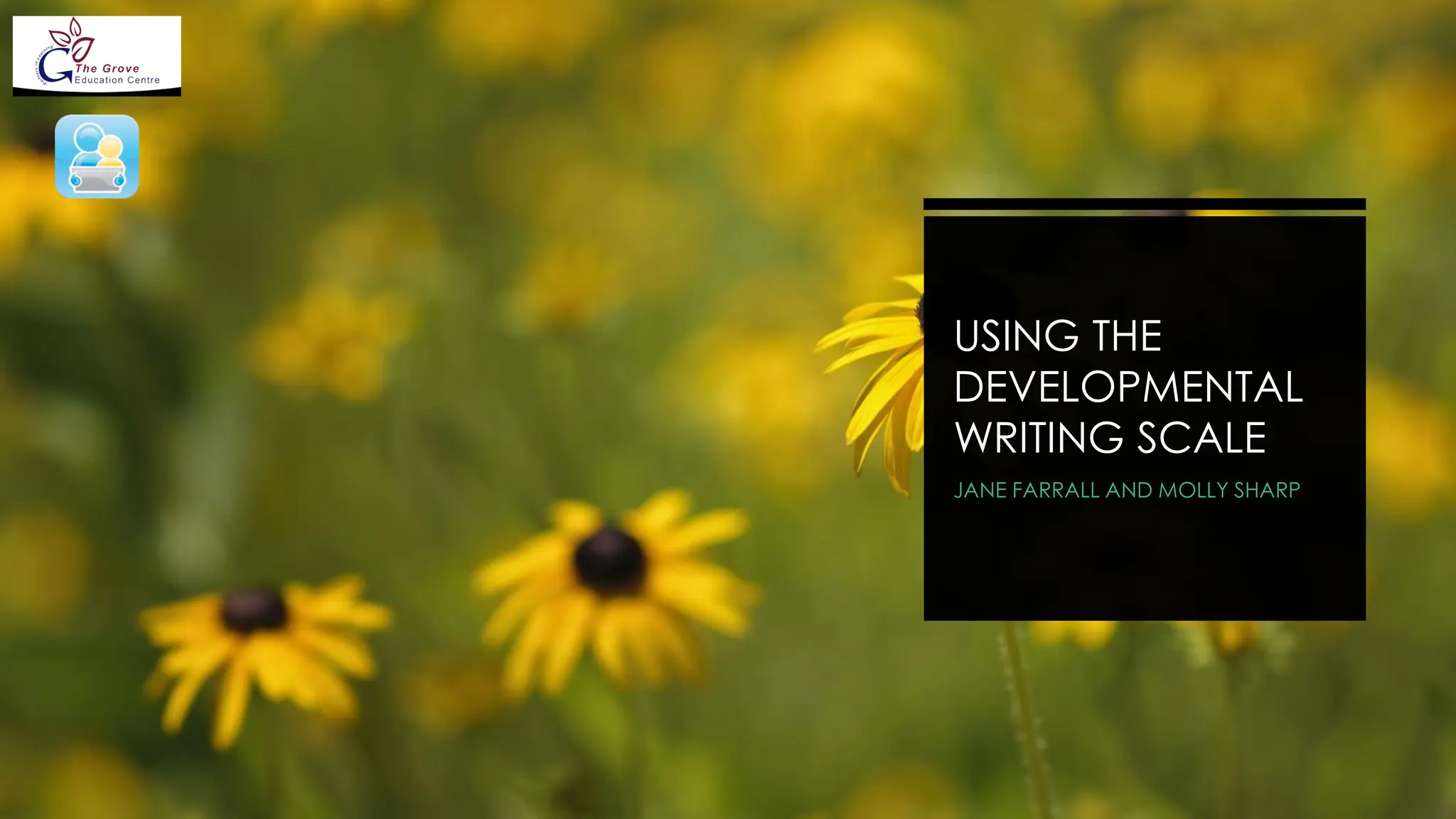 Using the Developmental Writing Scale: Jane Farrall & Molly Sharp | PPT