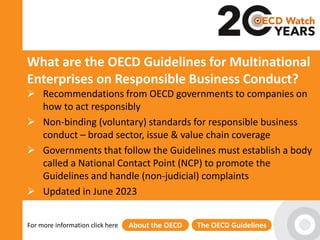 Using the OECD Guidelines for change - Central and Eastern Europe ...