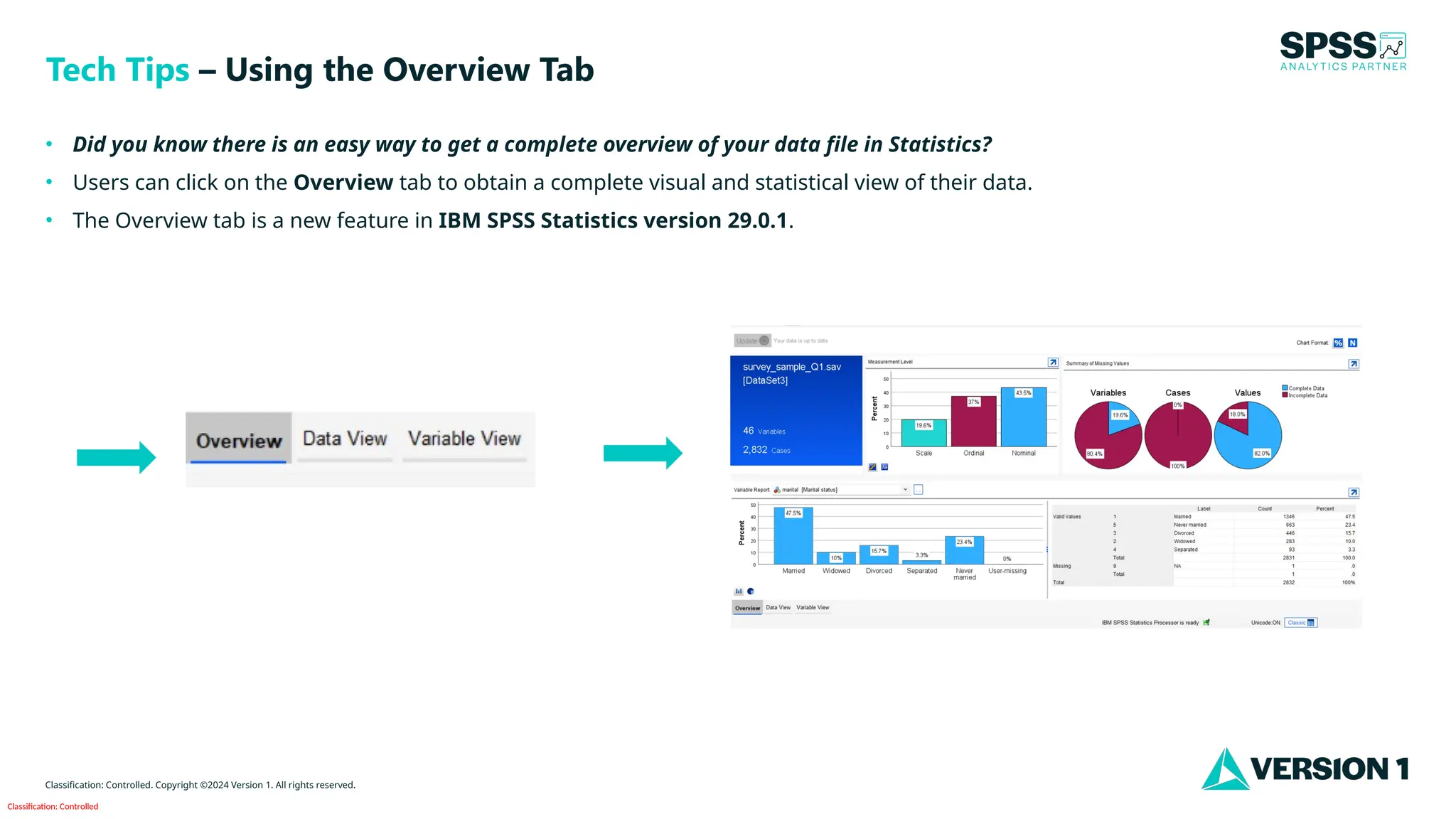 Using the Overview Tab in IBM SPSS Statistics.pptx