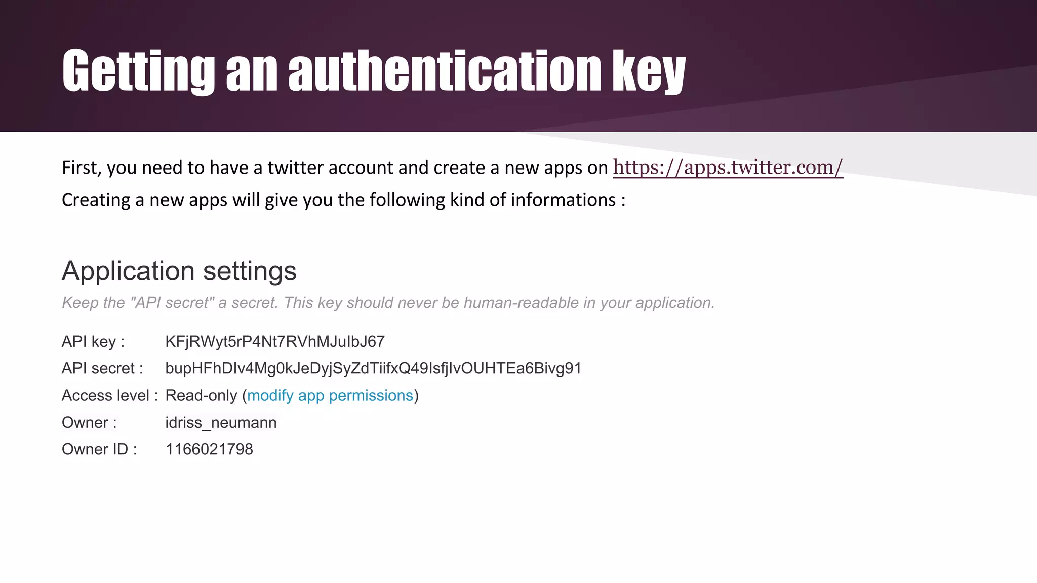 Using The Restful Twitters Api Ppt