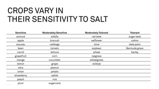 Irrigate More Efficiently Using the Salt Balance | PDF