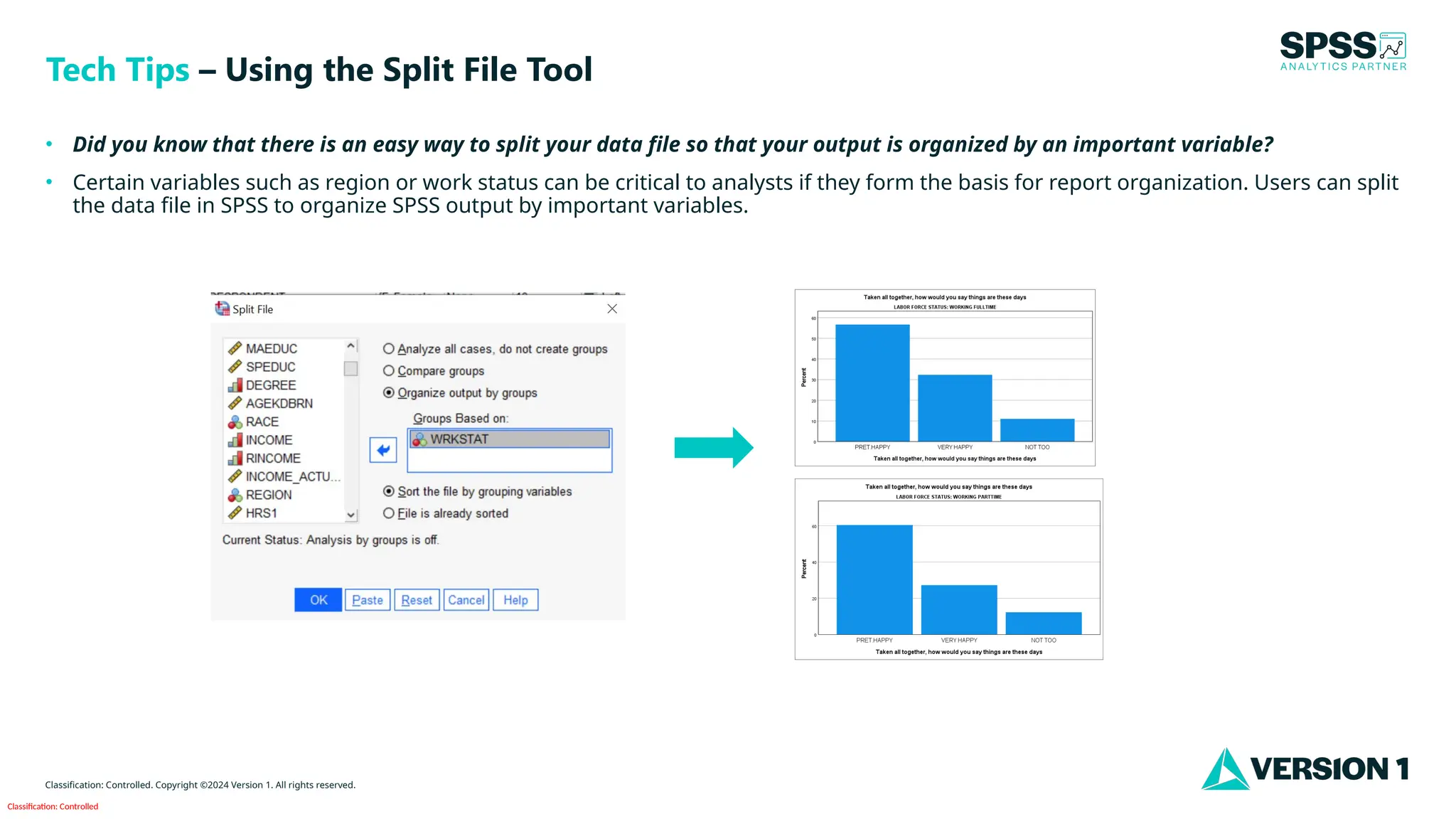 Using the Split File Tool to Organize Output in IBM SPSS Statistics.pptx