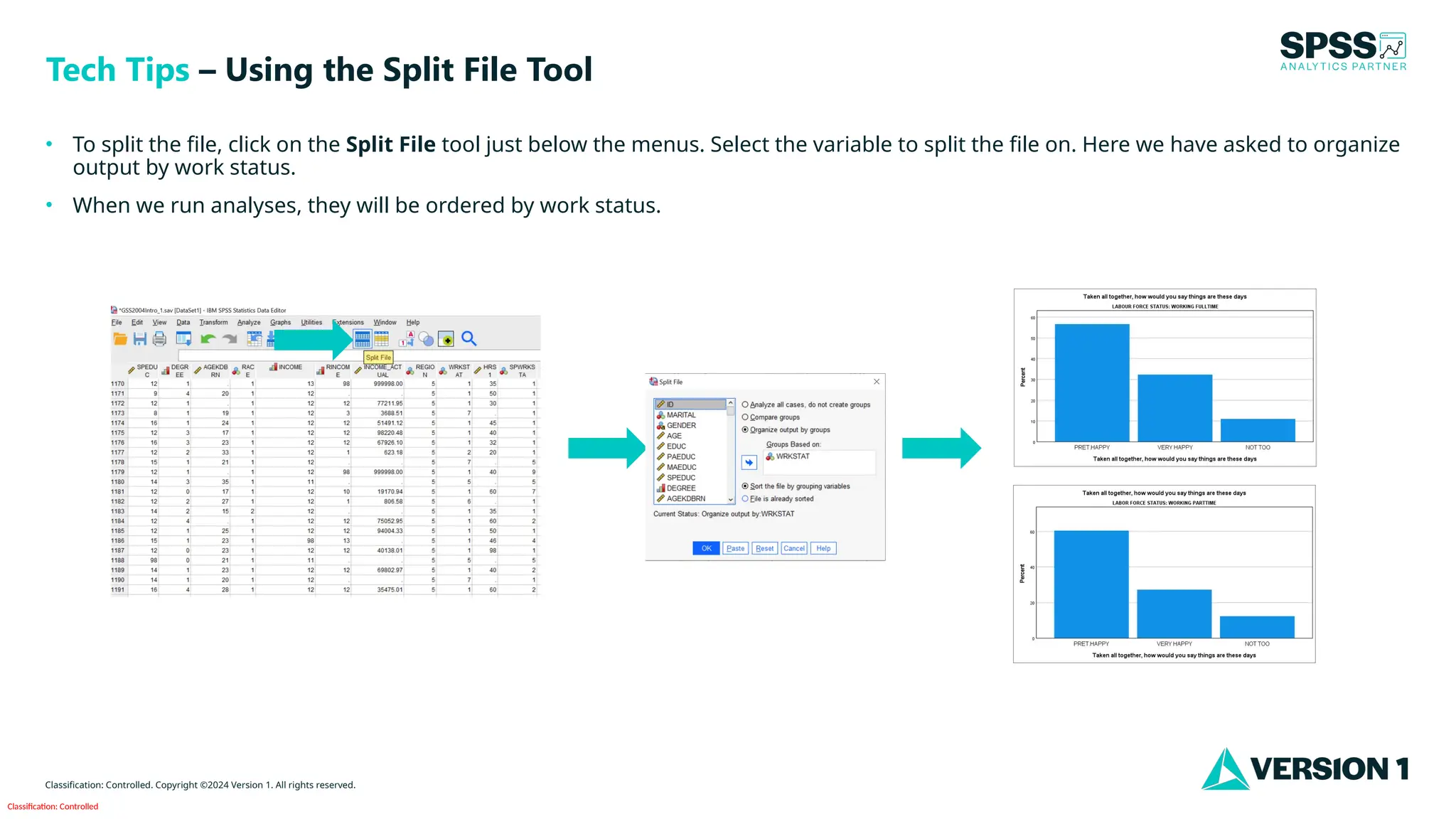 Using the Split File Tool to Organize Output in IBM SPSS Statistics.pptx