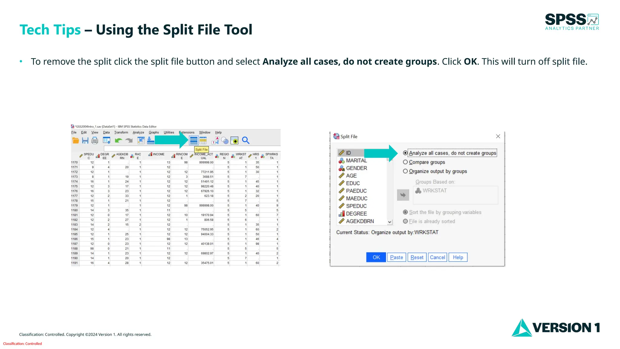Using the Split File Tool to Organize Output in IBM SPSS Statistics.pptx