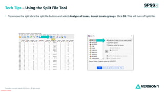 Using the Split File Tool to Organize Output in IBM SPSS Statistics.pptx