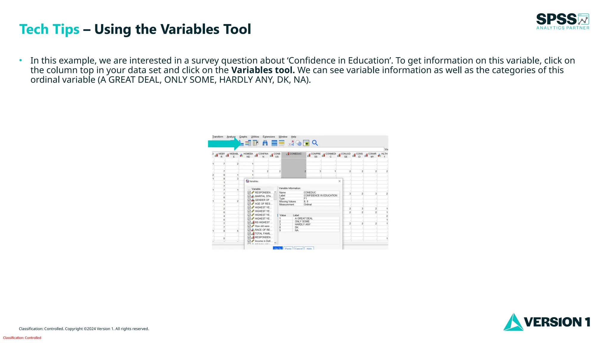 Using the Variables Tool in IBM SPSS Statistics .pptx