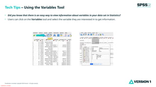 Using the Variables Tool in IBM SPSS Statistics .pptx