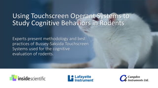 Using Touchscreen Operant Systems to Study Cognitive Behaviors in ...