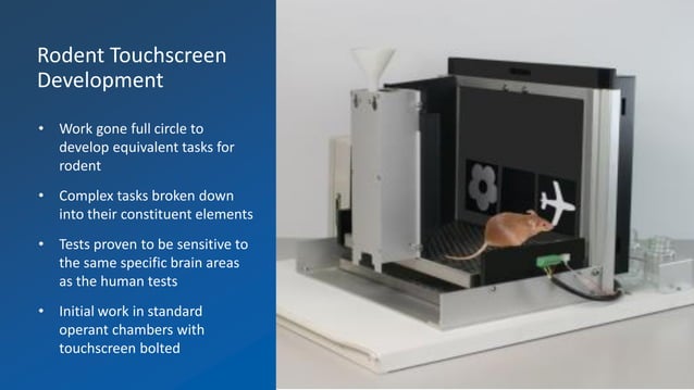 Using Touchscreen Operant Systems to Study Cognitive Behaviors in ...