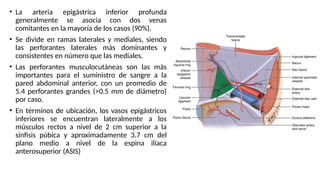 Tecnica por ultrasonido de region inguinal.pptx