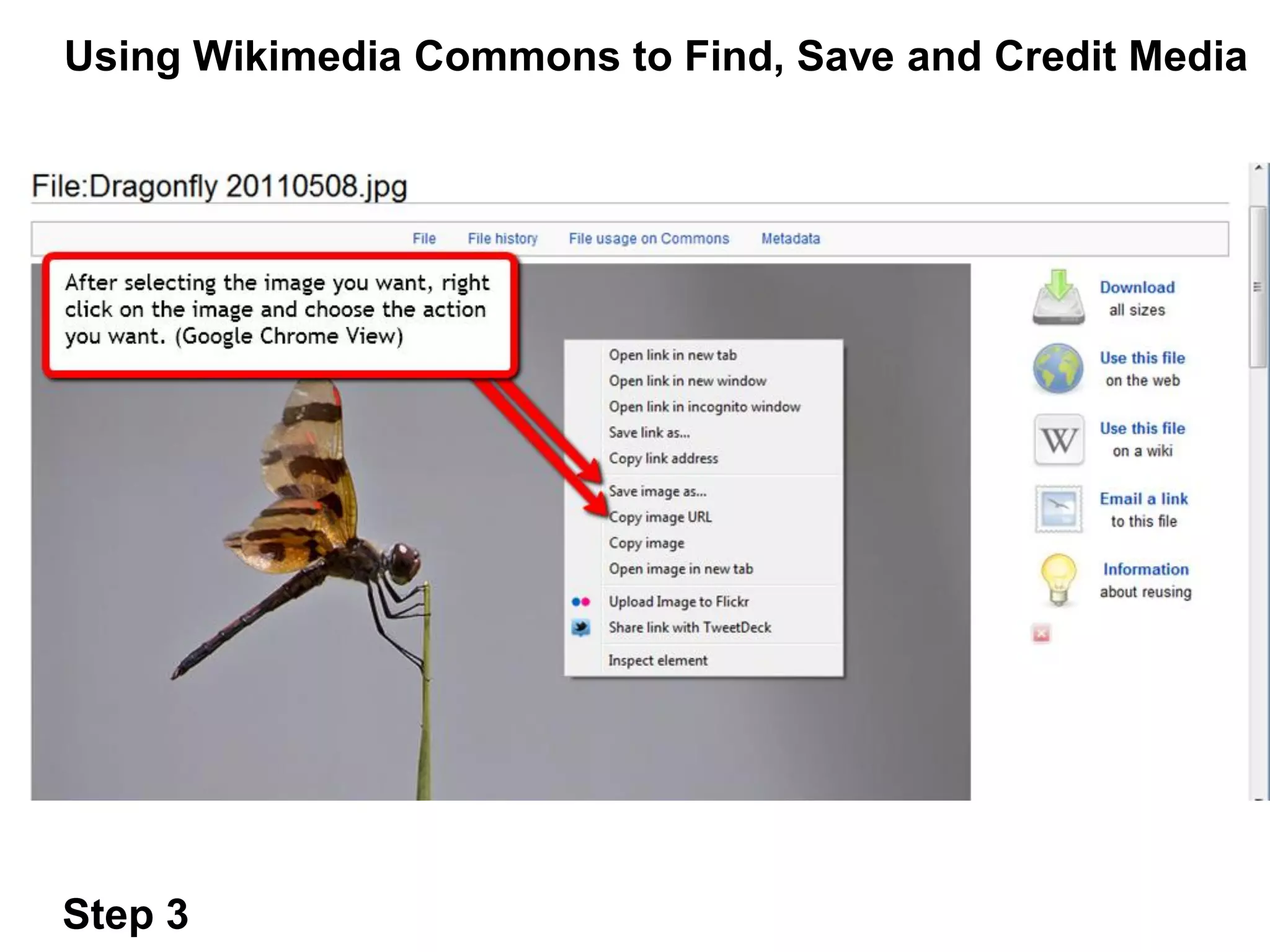 Using Wikimedia Commons to find, save, and credit media | PPT