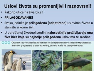 Uslovi života na Zemlji | PPTX