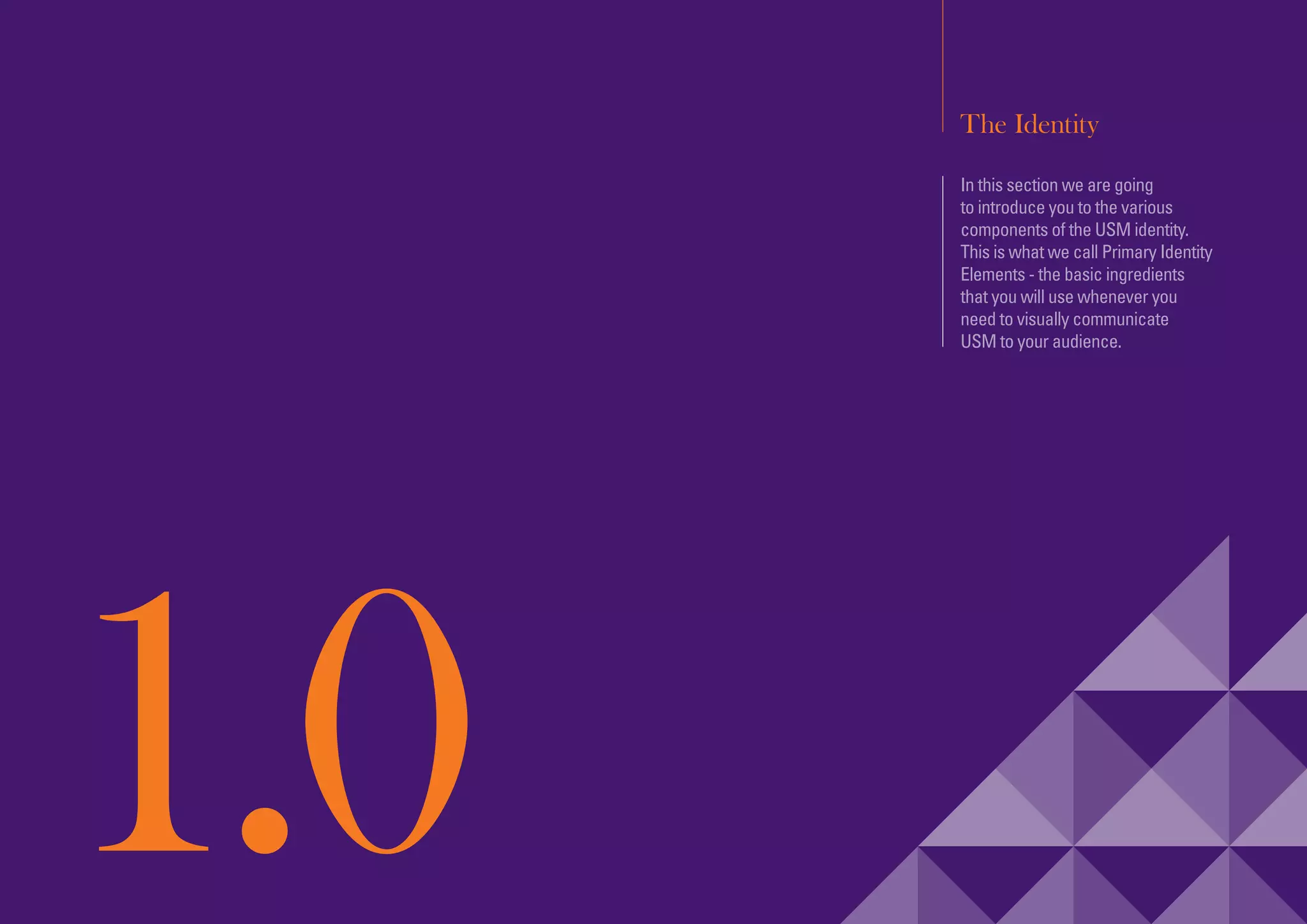 Usm25 Brand Manual | PDF