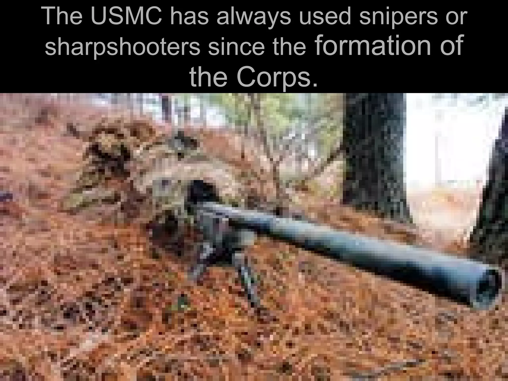 Usmc Snipers | PPT