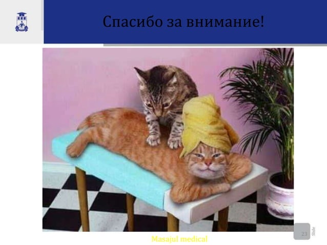 USMF_presentation_template_0_0.pptx