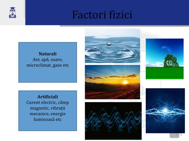 USMF_presentation_template_0_0.pptx