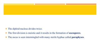 USNEA second sem.pptx,botany,science world | PPTX