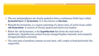 USNEA second sem.pptx,botany,science world | PPTX