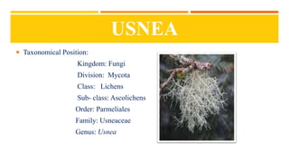 USNEA second sem.pptx,botany,science world | PPTX