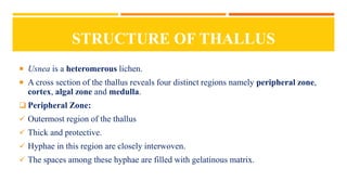 USNEA second sem.pptx,botany,science world | PPTX