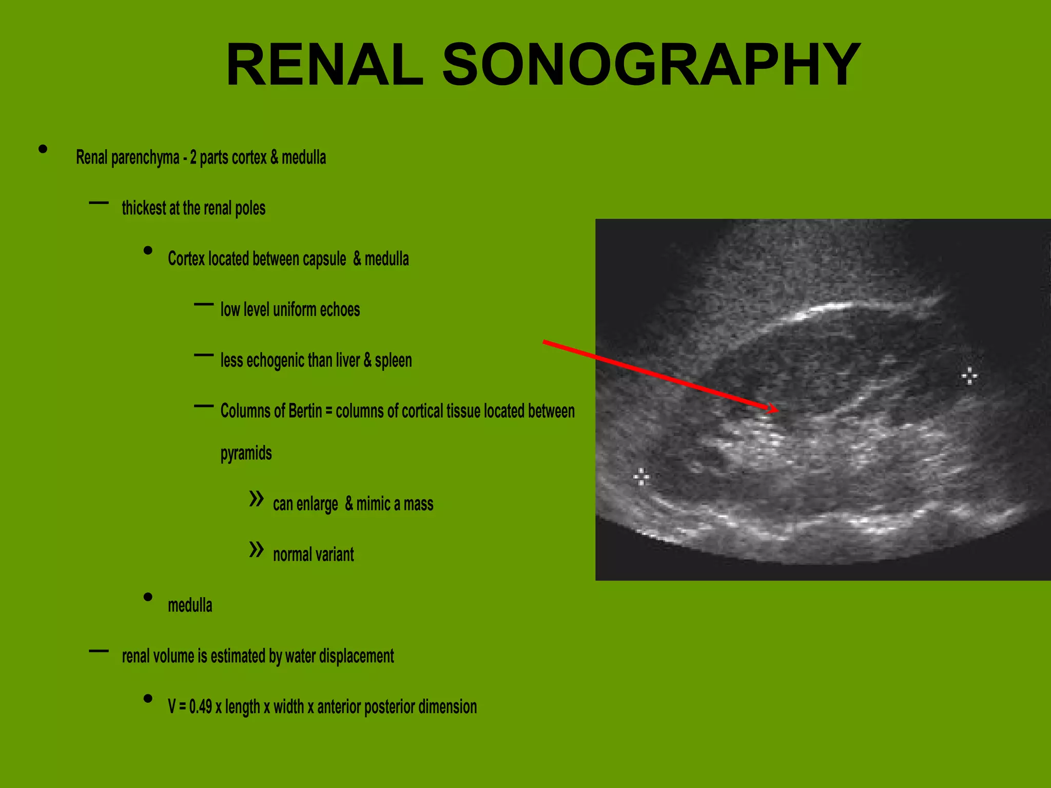 Us neonatal kidney | PPT