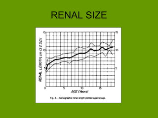Us neonatal kidney | PPT