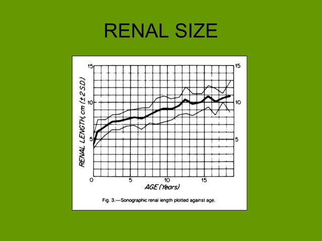 Us neonatal kidney | PPT
