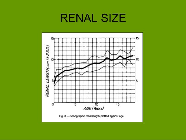 Normal Kidney Size Chart Utah Pediatric Radiology: Case Of The Week: