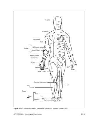 Usn neuro exam | PDF