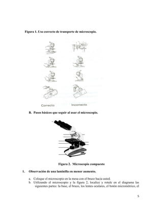 Uso-y-manejo-del-microscopio.pdf