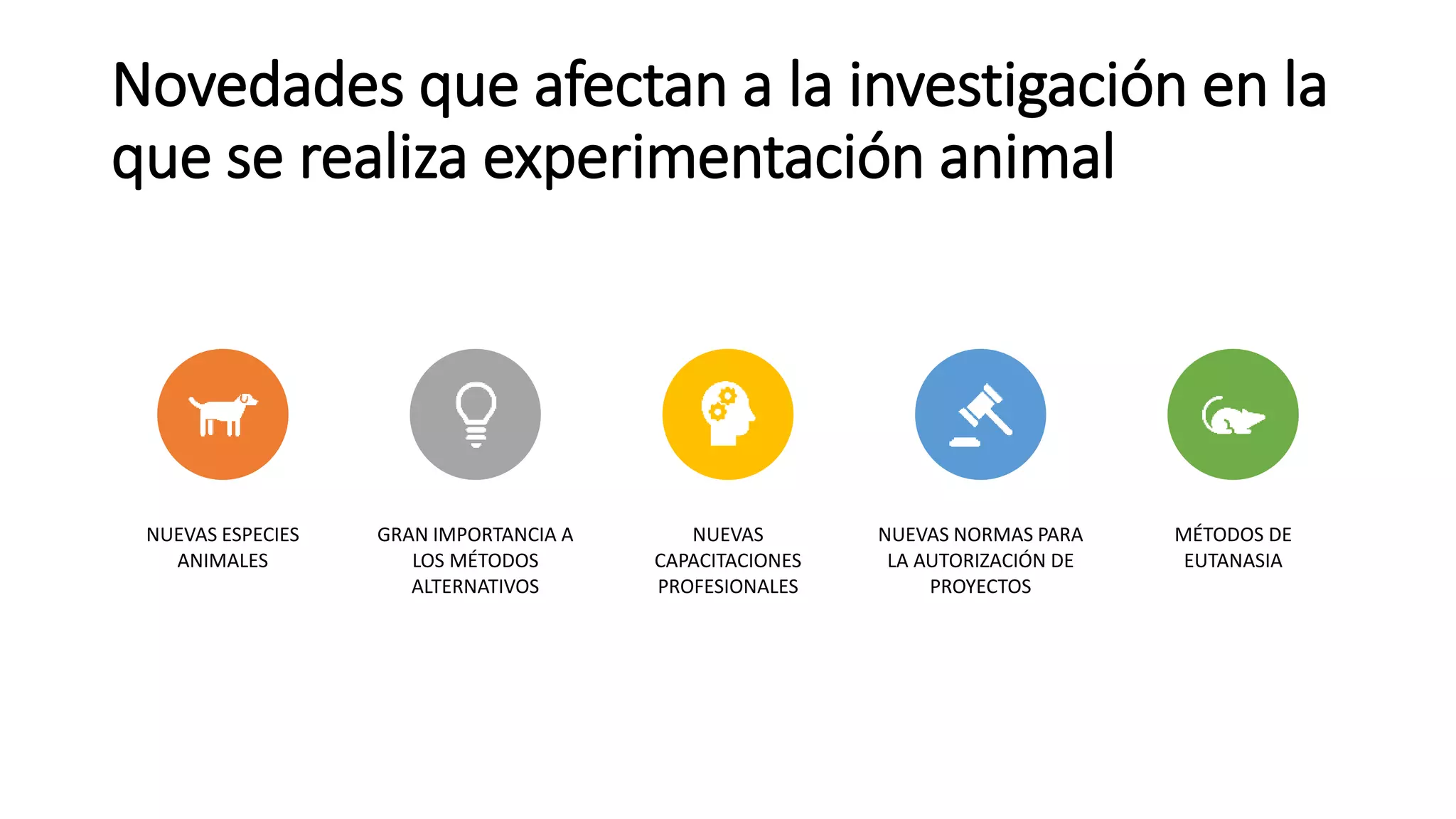 Uso de animales en investigacion | PPTX