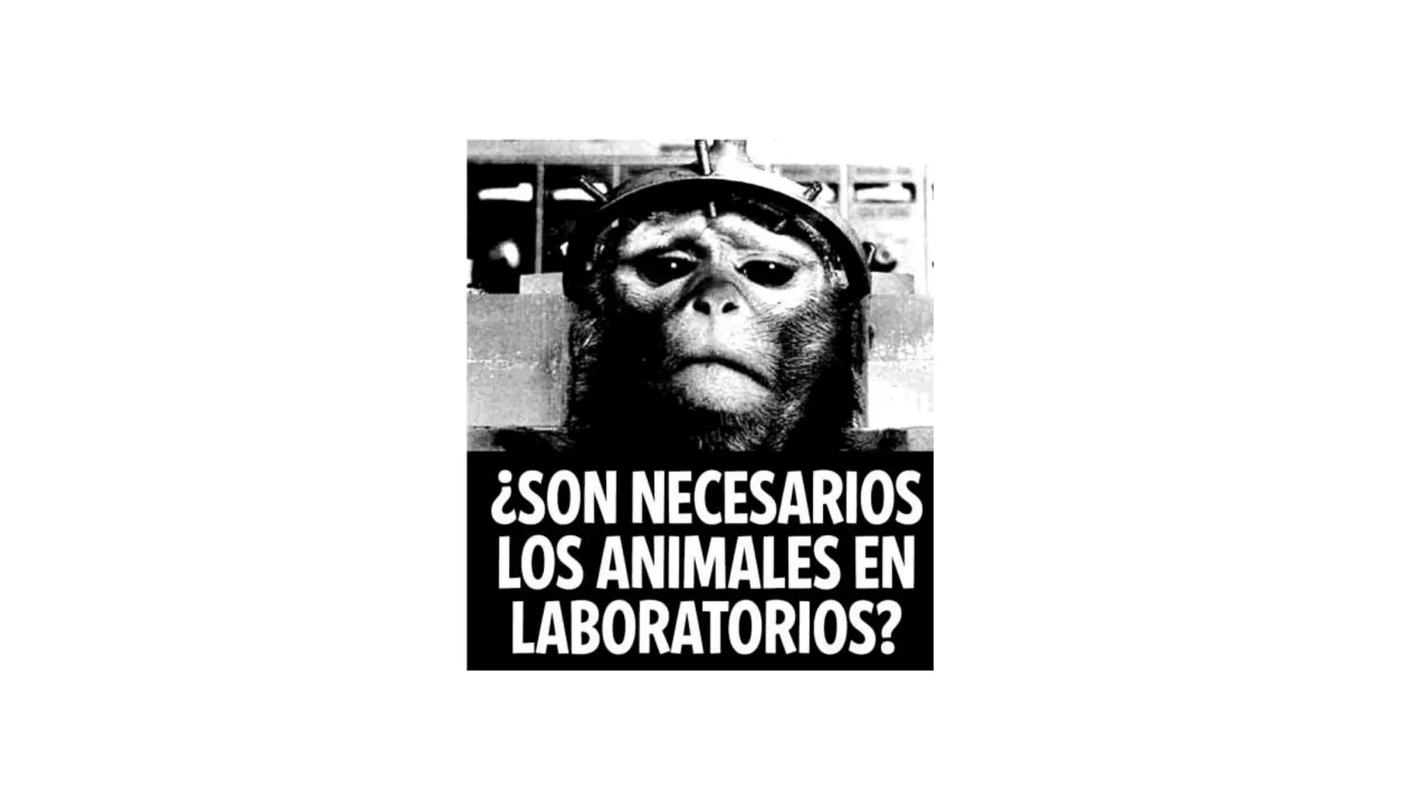 Uso de animales en investigacion | PPT