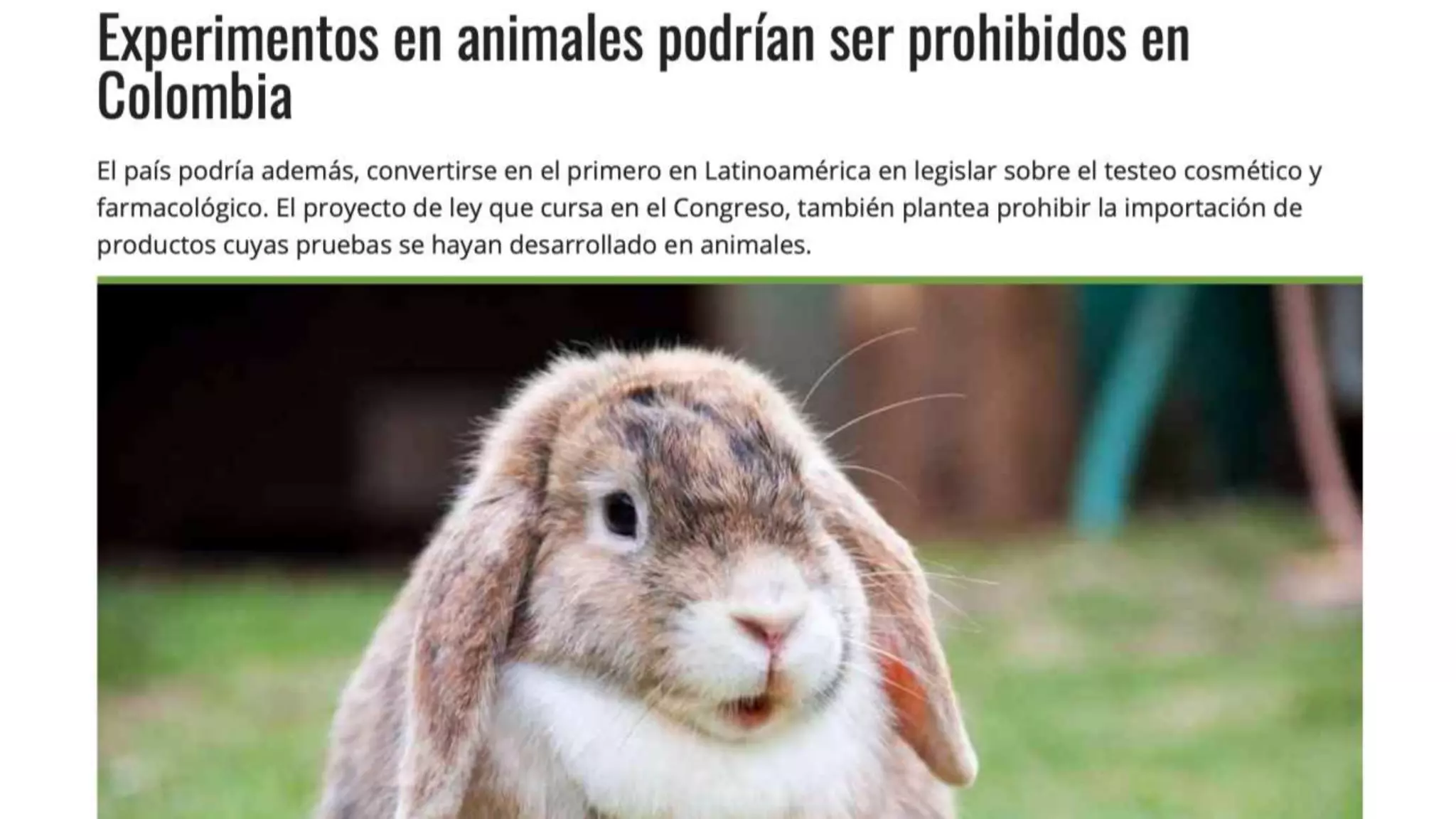 Uso de animales en investigacion | PPTX