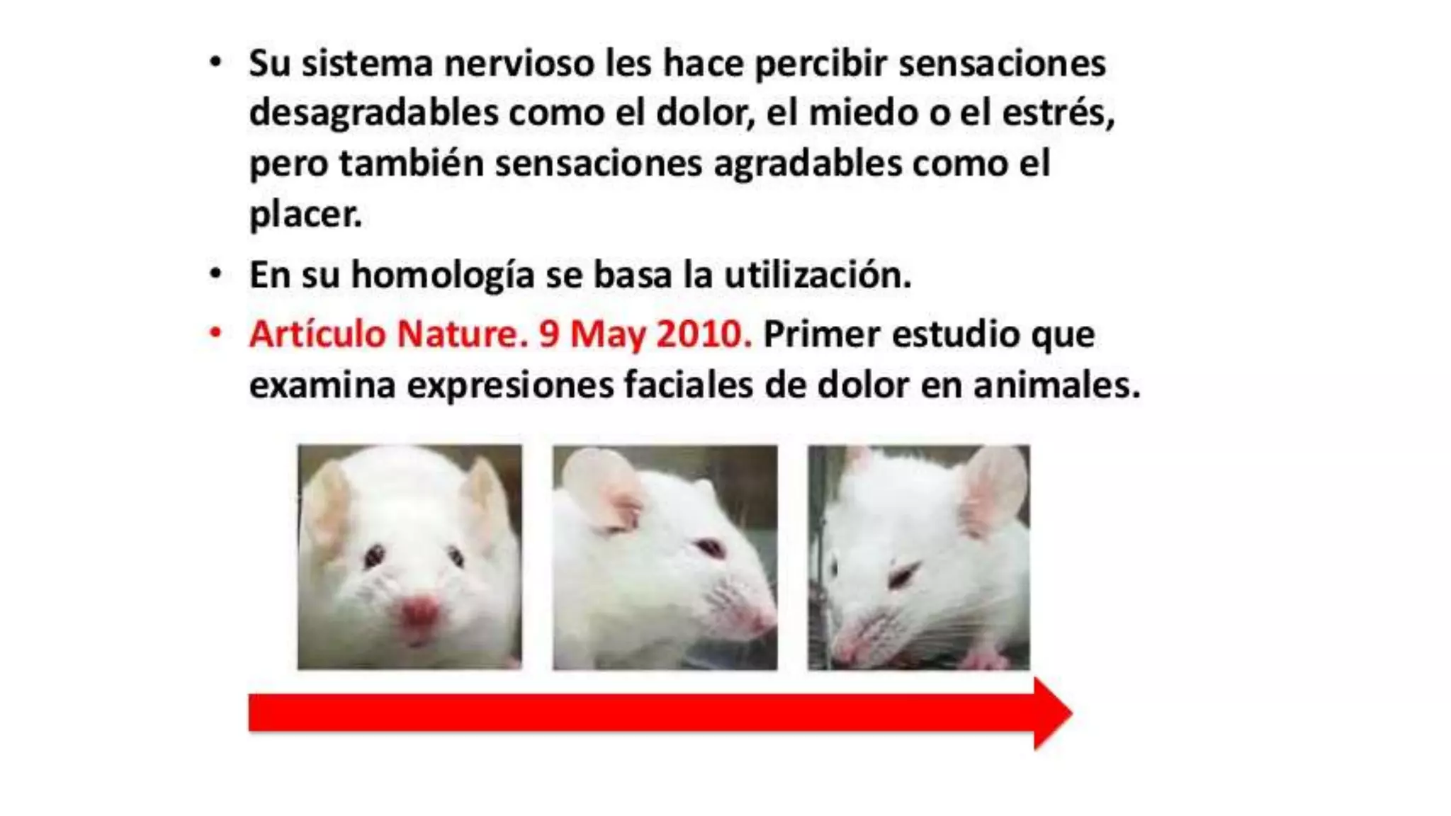 Uso de animales en investigacion | PPTX