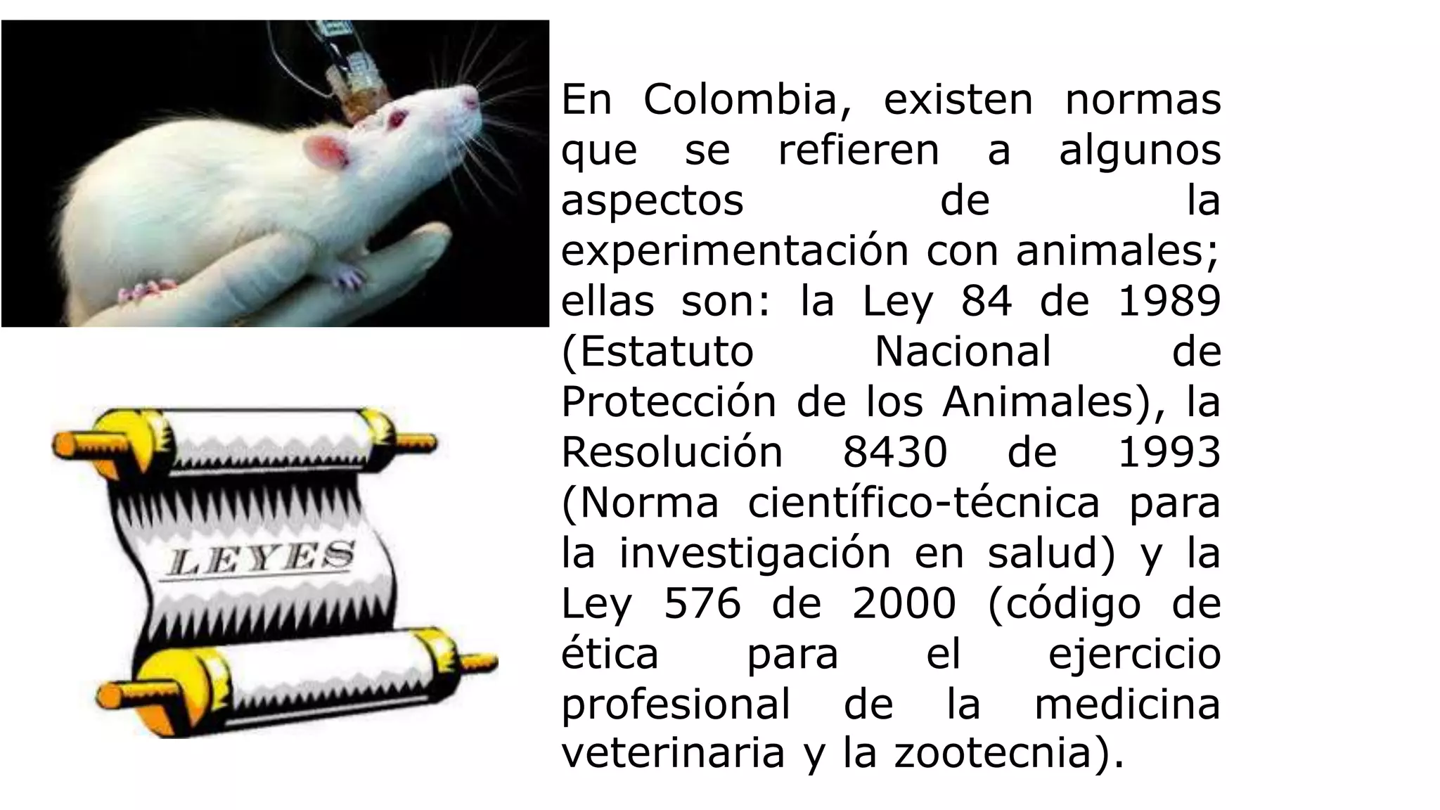 Uso de animales en investigacion | PPTX