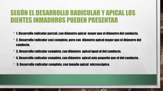 Uso de barreras apicales y apexificación en endodoncia | PPTX
