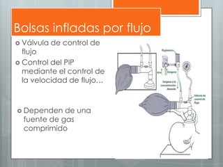 REANIMACIÓN NEONATAL | PPTX