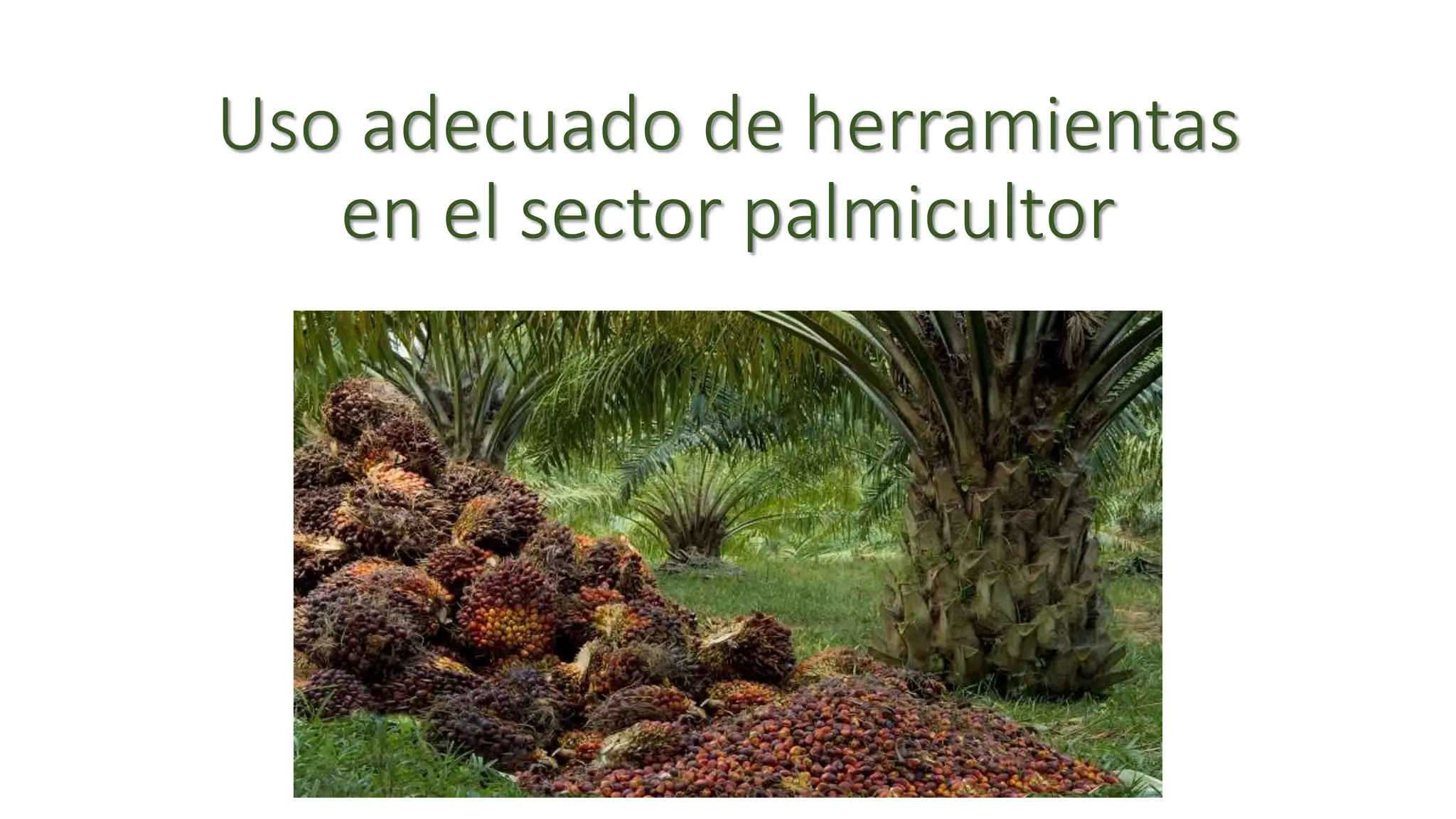 USO DE HERRAMIENTAS agricolas para un buen manejo | PPTX