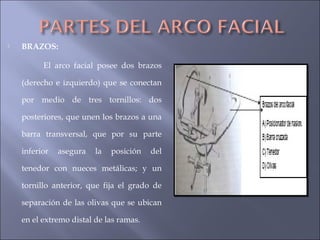USO DEL ARCO FACIAL | PPT