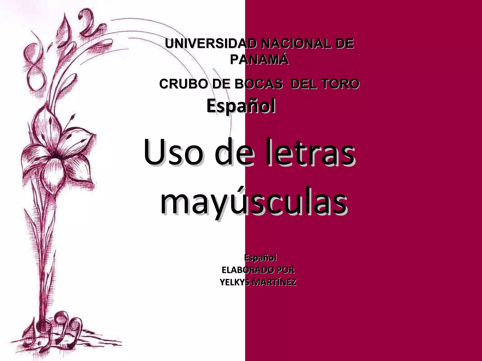 Uso de letras mayusculas | PPS