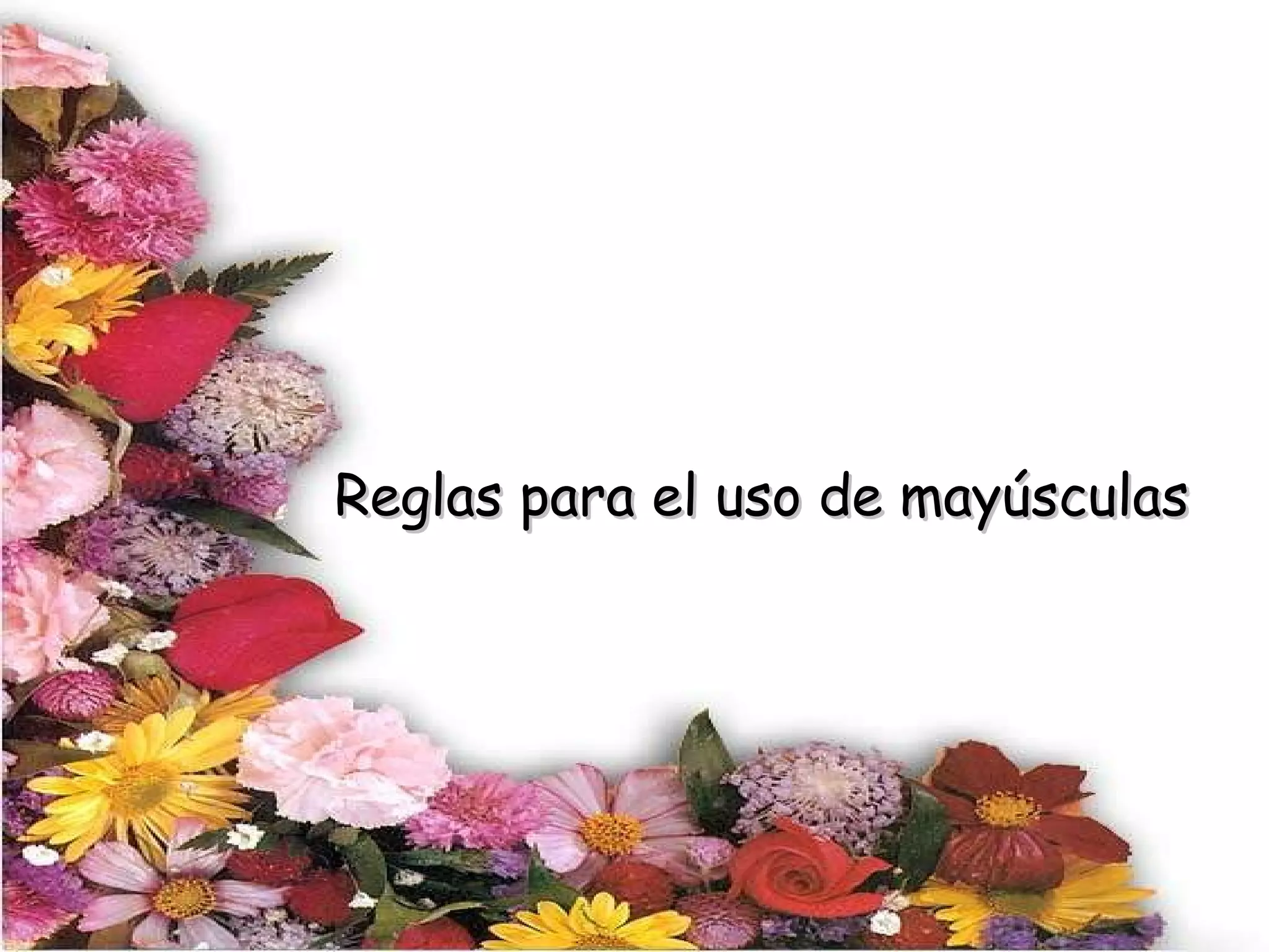 Uso de letras mayusculas | PPS