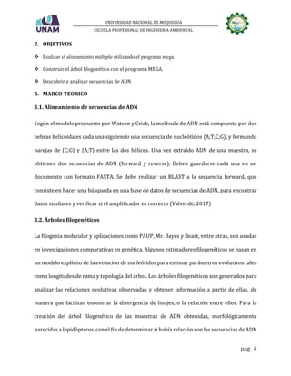 Uso del software mega dna | PDF